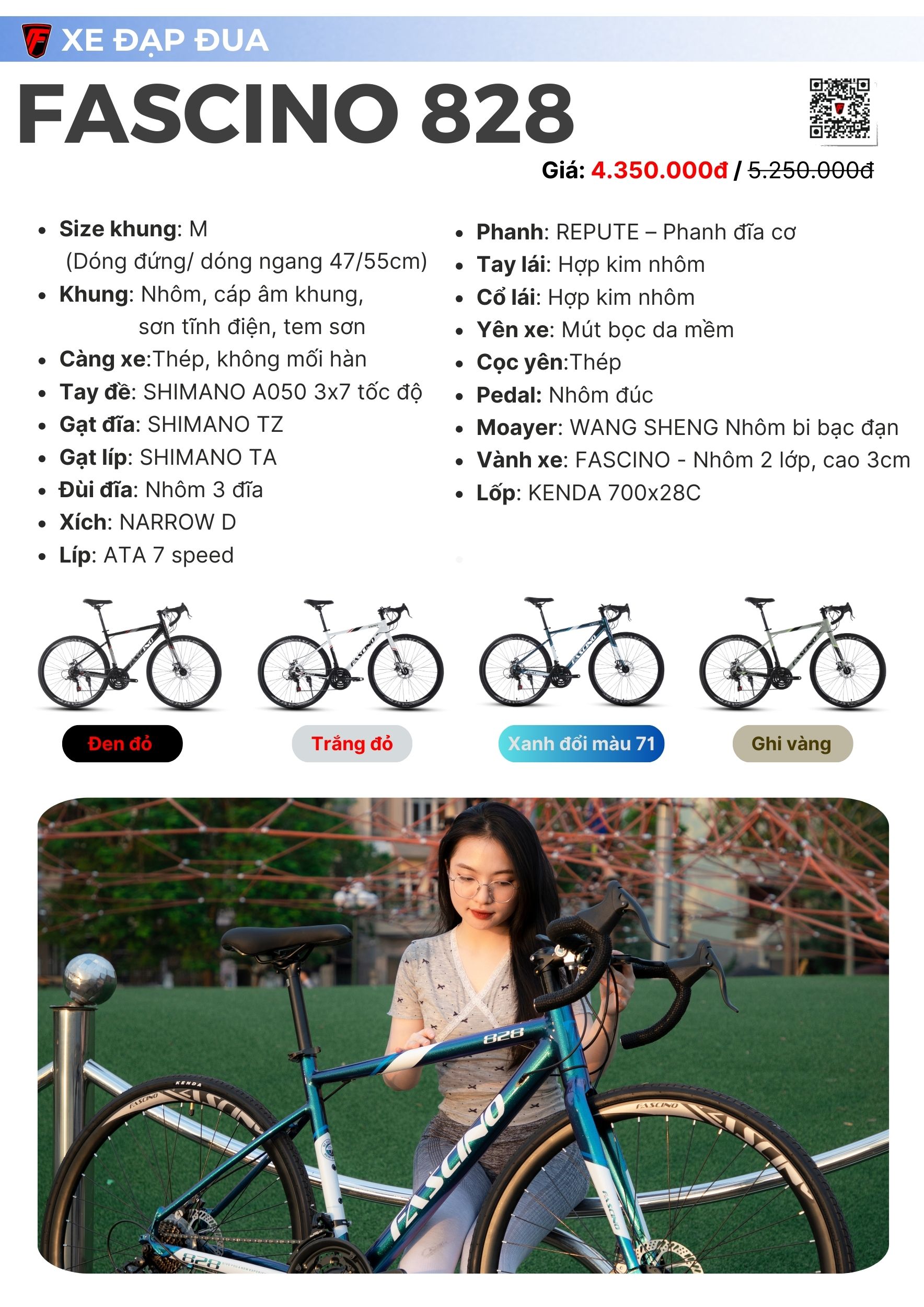 CATALOGUE FASCINO BIKE | XE ĐẠP FASCINO - Tốt Hơn, Đẹp Hơn, Rẻ Hơn