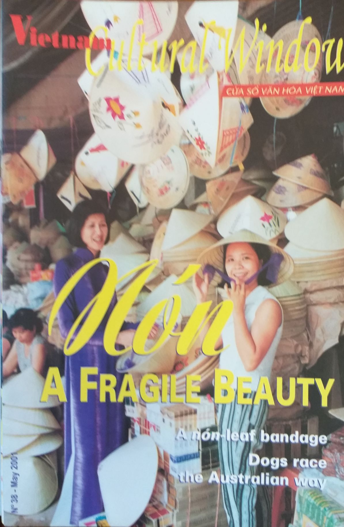 Vietnam Cultural Window A Fragile Beauty by The Gioi - Bookworm Hanoi