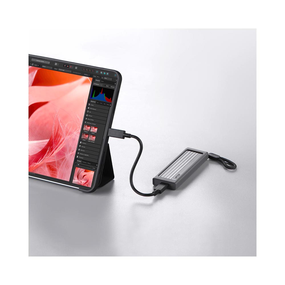 Box di động SSD M.2 PCIe NVMe 10Gbps Lexar E6 LPAE06N-RNBNG