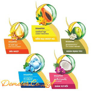 Demeter Viet Nam - DEMETER CO., LTD