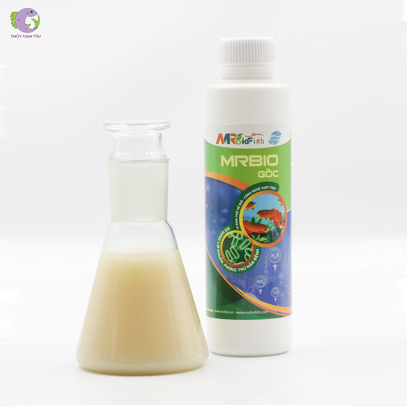 Vi Sinh MR. BIO Gốc | Thủy Sinh Tím
