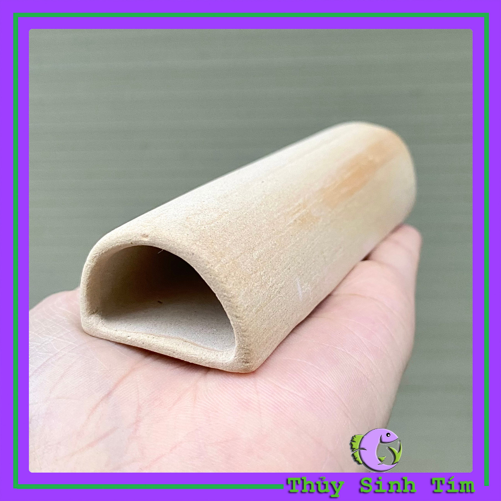 Hang Gốm Handmade | Thủy Sinh Tím