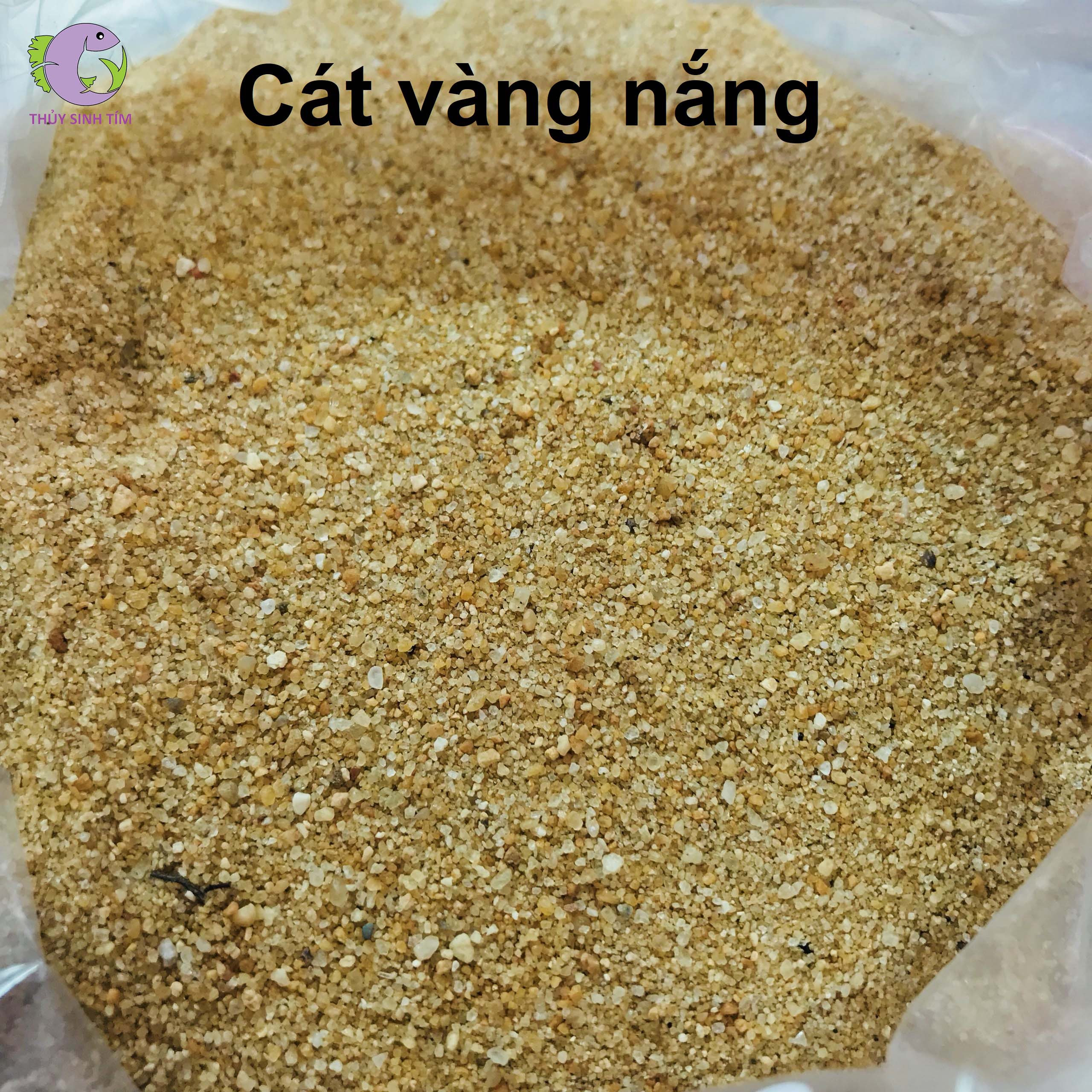 Cát Vàng Nắng 1kg | Thủy Sinh Tím