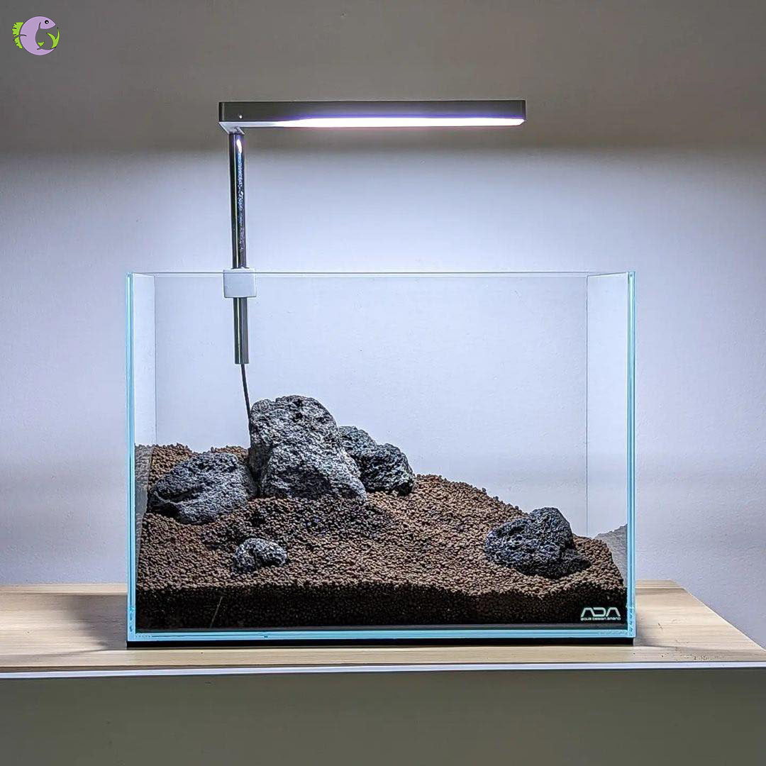 Đá đen Gia Lai | Thủy Sinh Tím