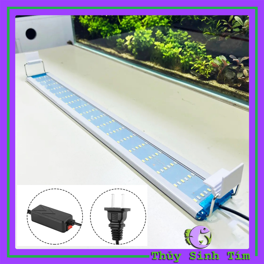 Đèn LED WRGB Kaokui 3 Chế Độ Màu | Thủy Sinh Tím