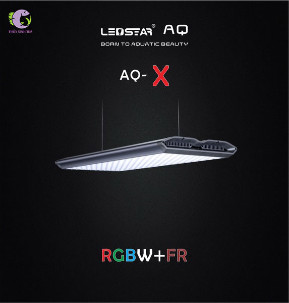 Đèn Thủy Sinh Cao Cấp Ledstar AQ-X 2023 | Thủy Sinh Tím