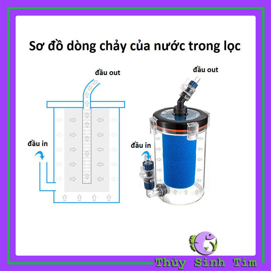 Lọc Phụ Marine | Thủy Sinh Tím