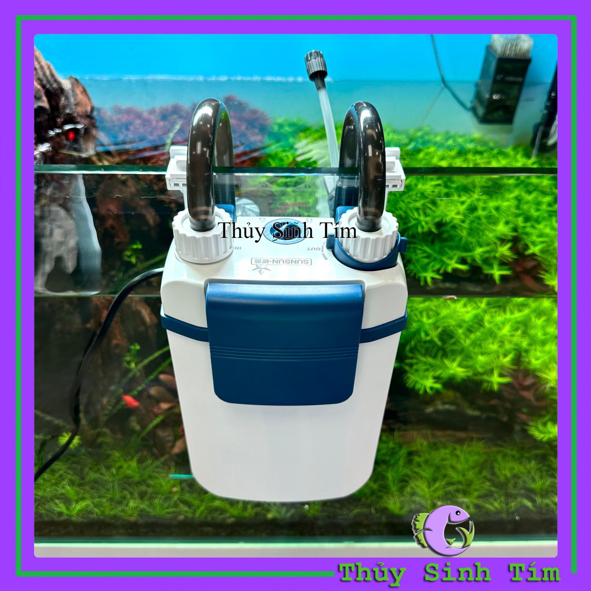 Máy Lọc Treo SunSun YBG | Thủy Sinh Tím