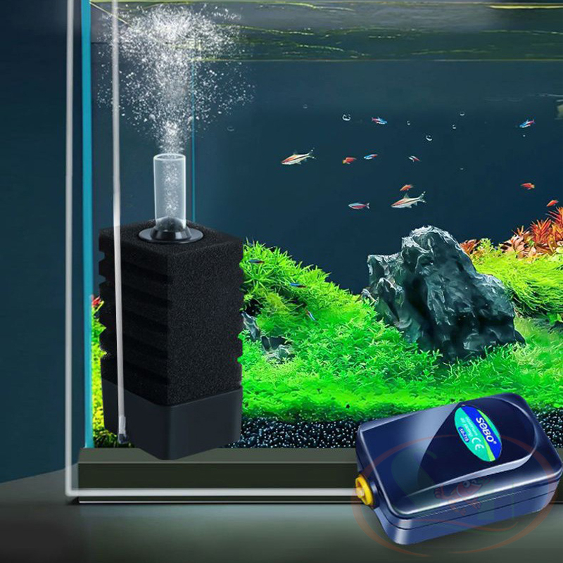 Lọc bio Sobo Sponge Filter kèm hộp lọc vi sinh bể cá tép - Shrimp Home