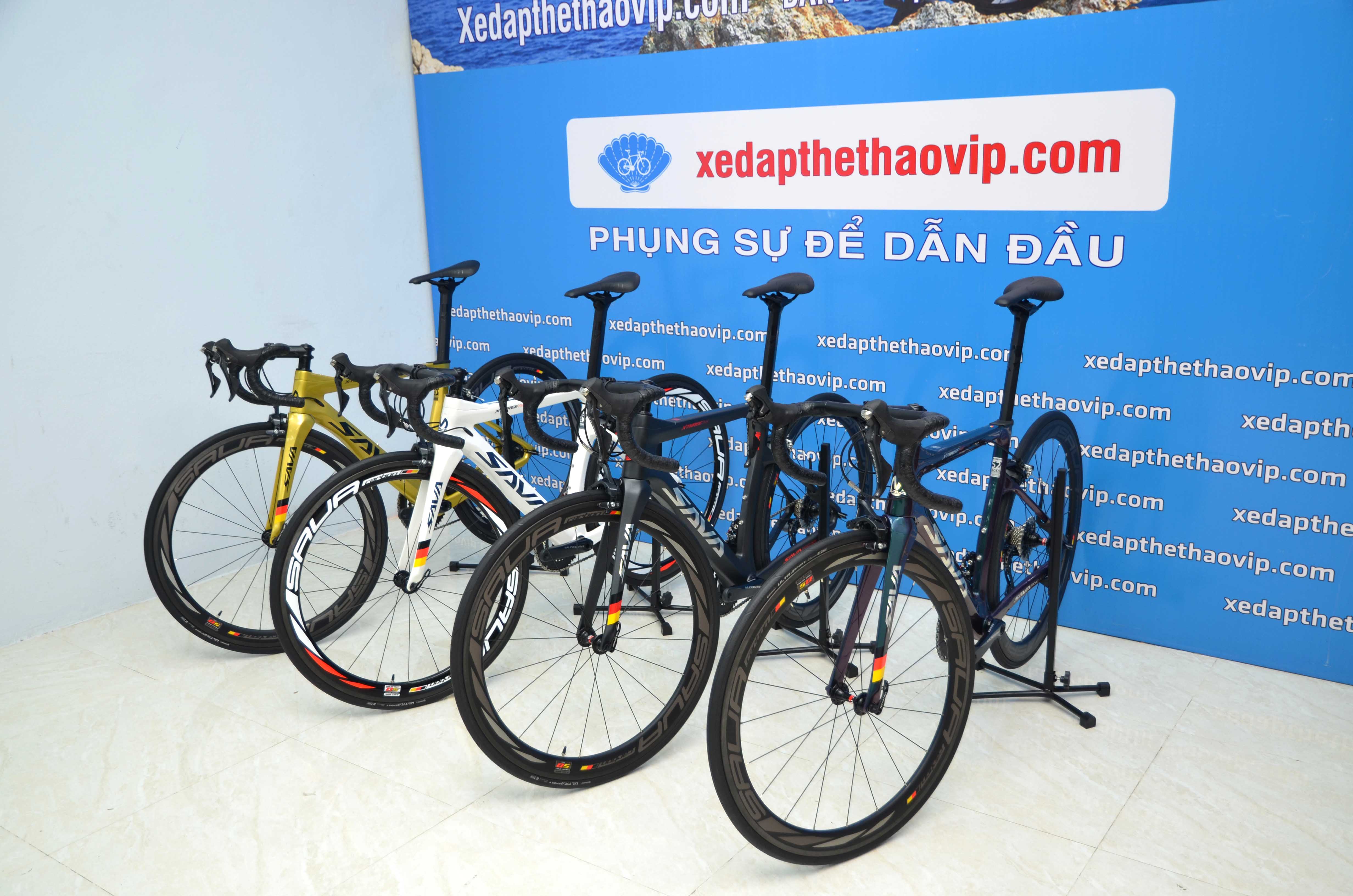 Xe Đạp Đua ĐỨC SAVA X3