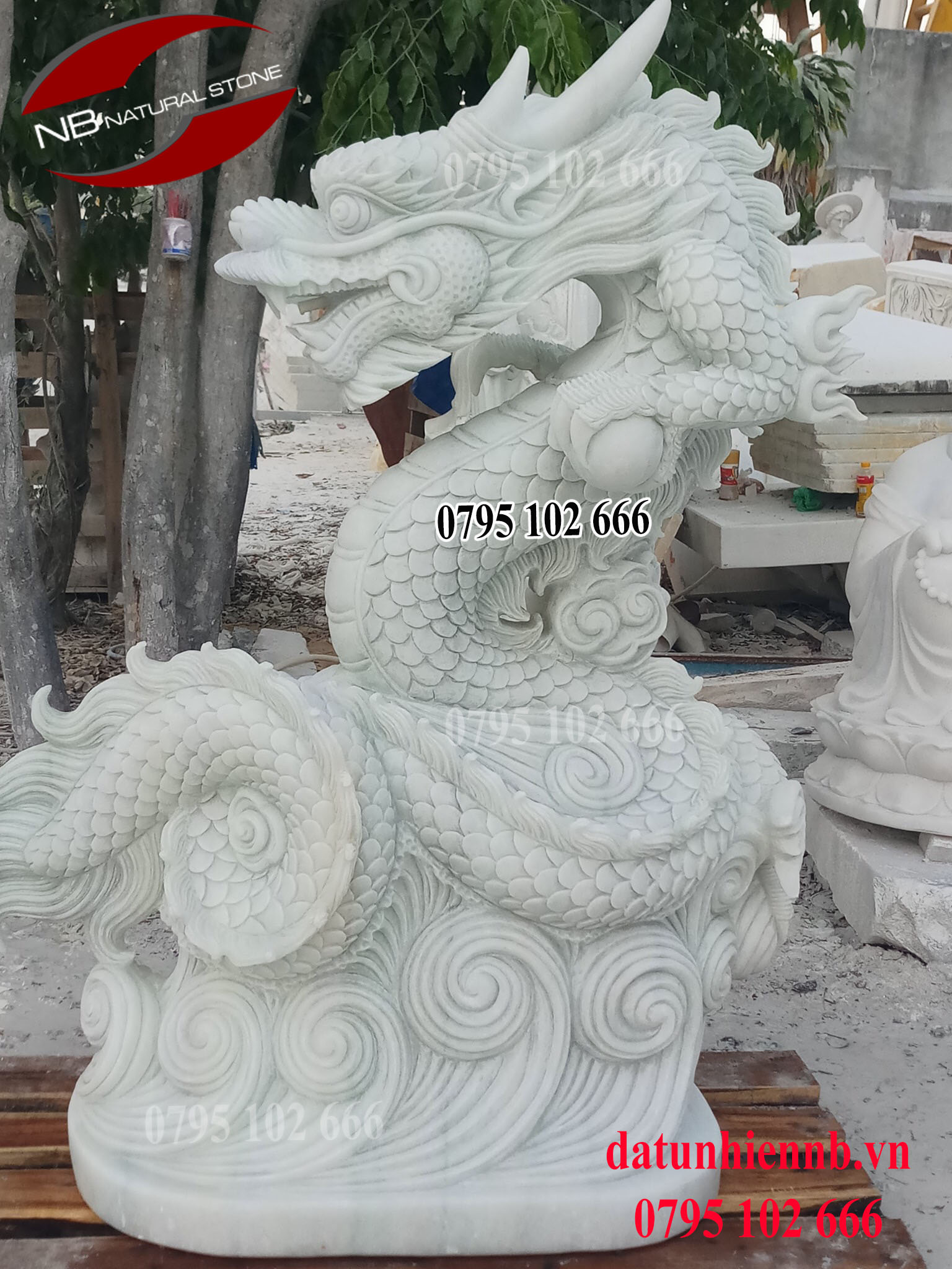 Rồng đá 22 datunhiennb