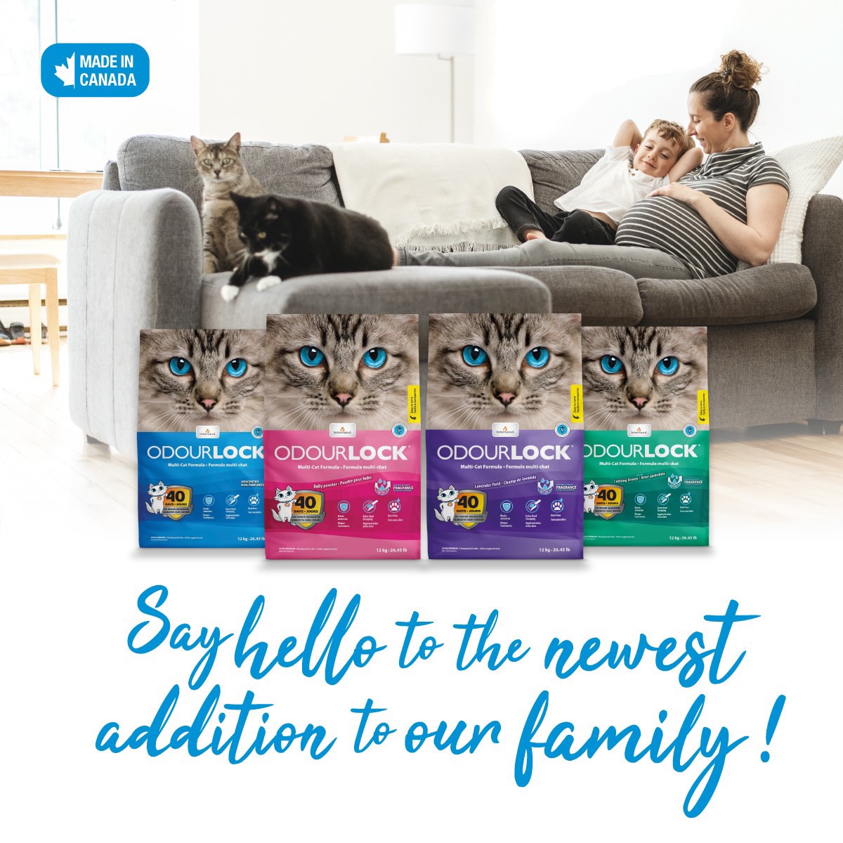 OdourLock - Cát đất sét cao cấp cho Mèo 6kg