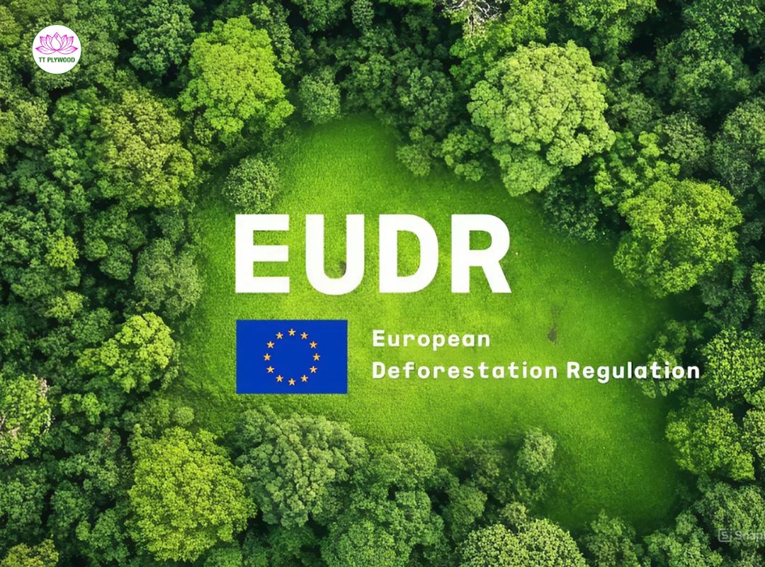 EU Announces Delay to EUDR: What the Current Timeline Looks Like