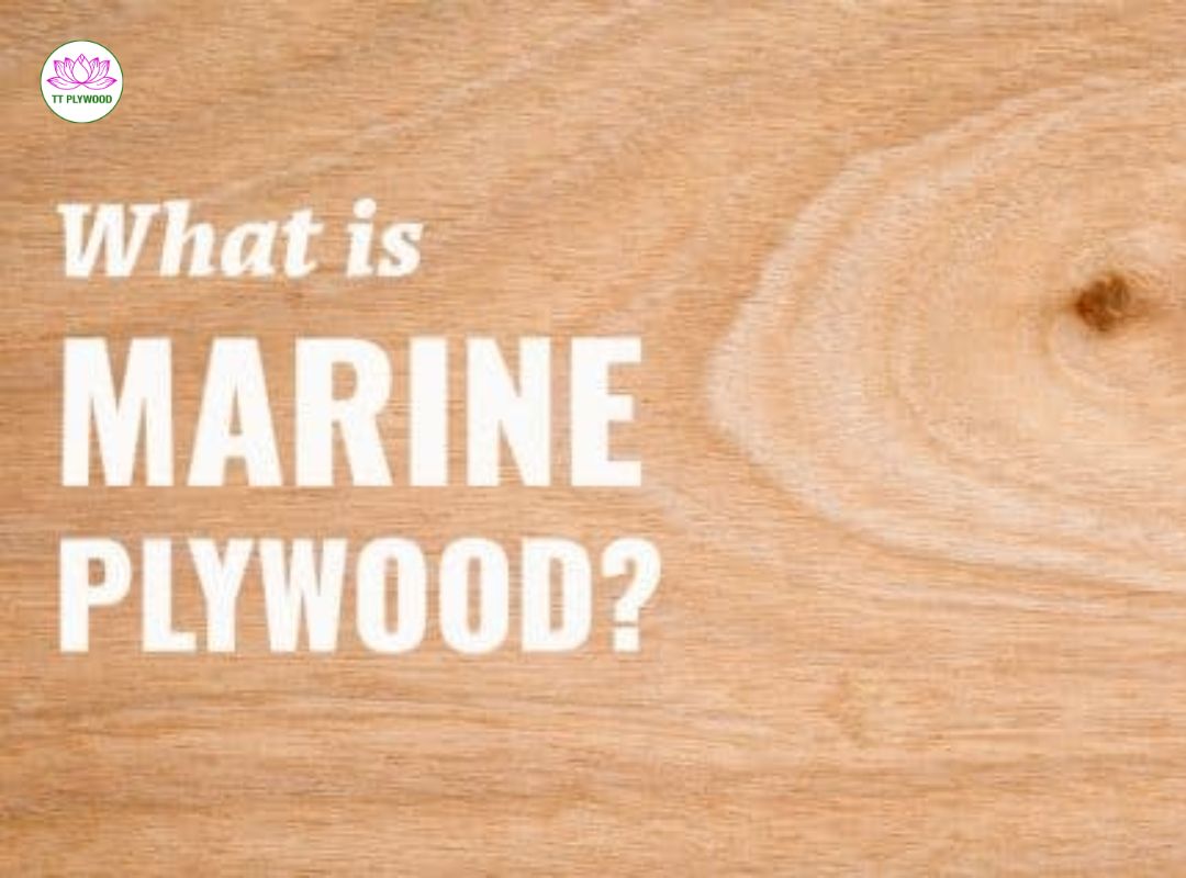 Marine Plywood Explained: Applications, Key Benefits & Product Types