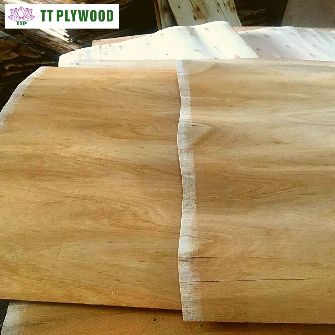 FILM FACED PLYWOOD FOR CONSTRUCTION ttplywood.com