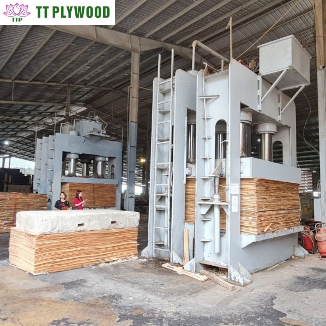 FILM FACED PLYWOOD FOR CONSTRUCTION ttplywood.com