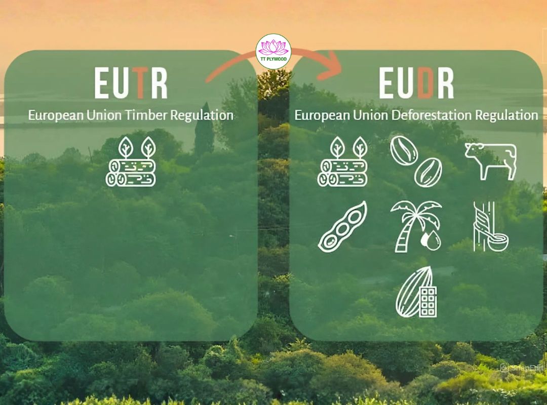 EU Announces Delay to EUDR: What the Current Timeline Looks Like