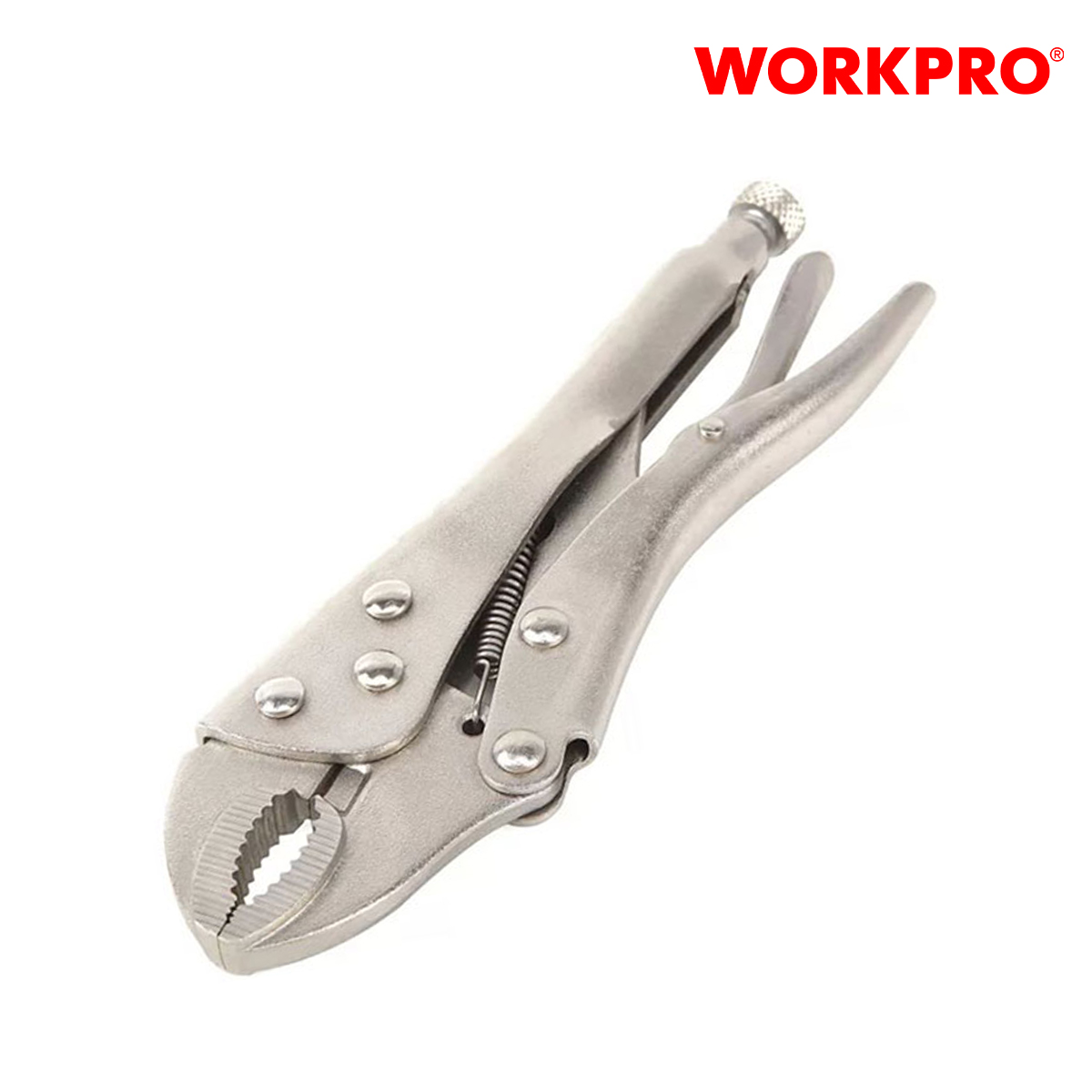 Kìm bấm mũi cong 10 inch 250mm Workpro - WP231059