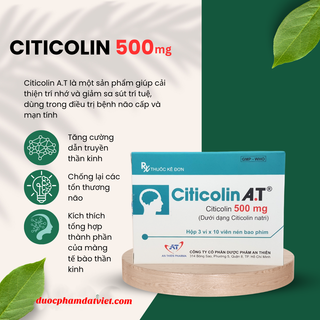 Citicolin 500mg Cải thiện trí nhớ và giảm sa sút trí tuệ Công ty Cổ ...