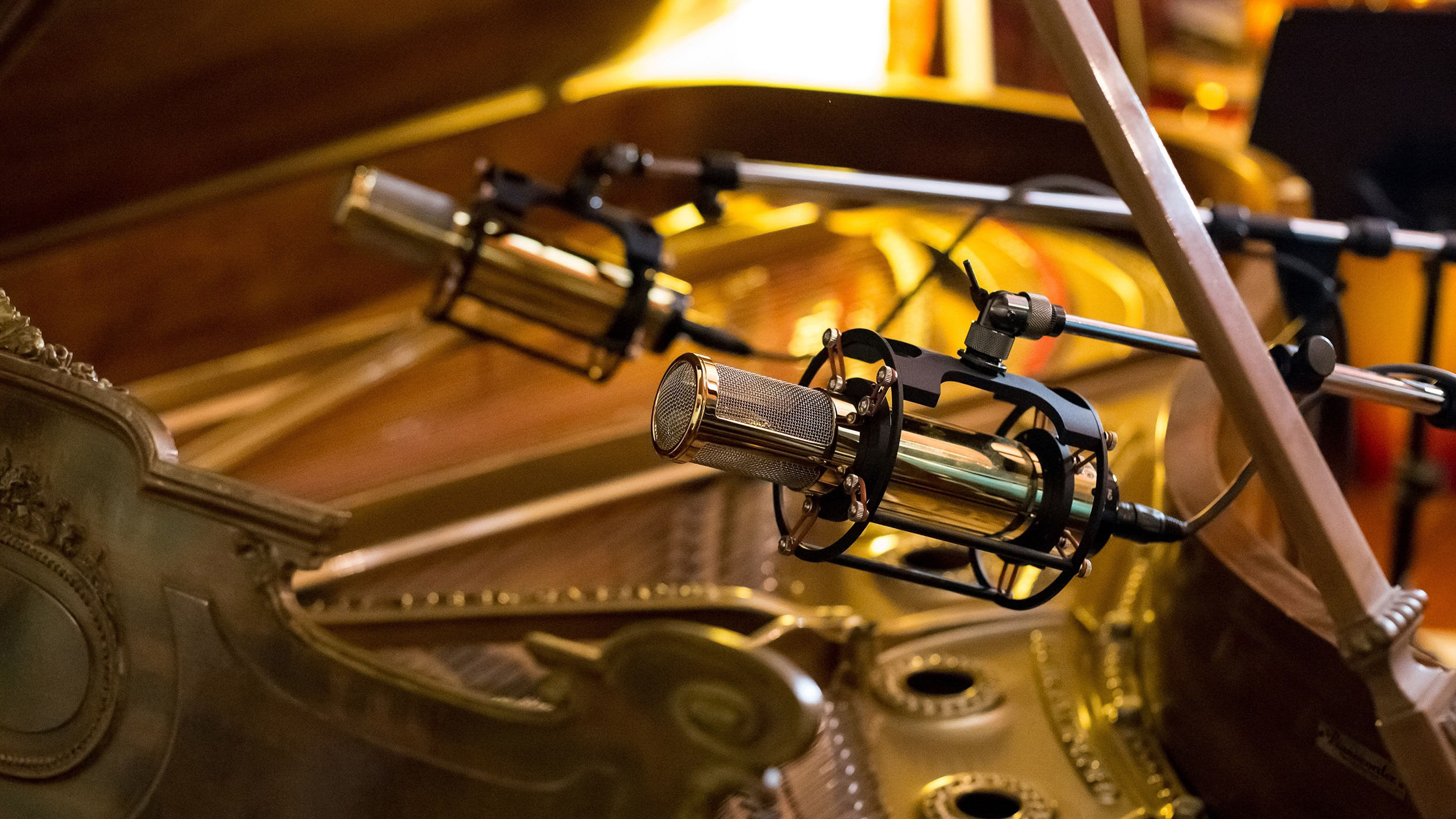 Manley Reference Gold Microphone