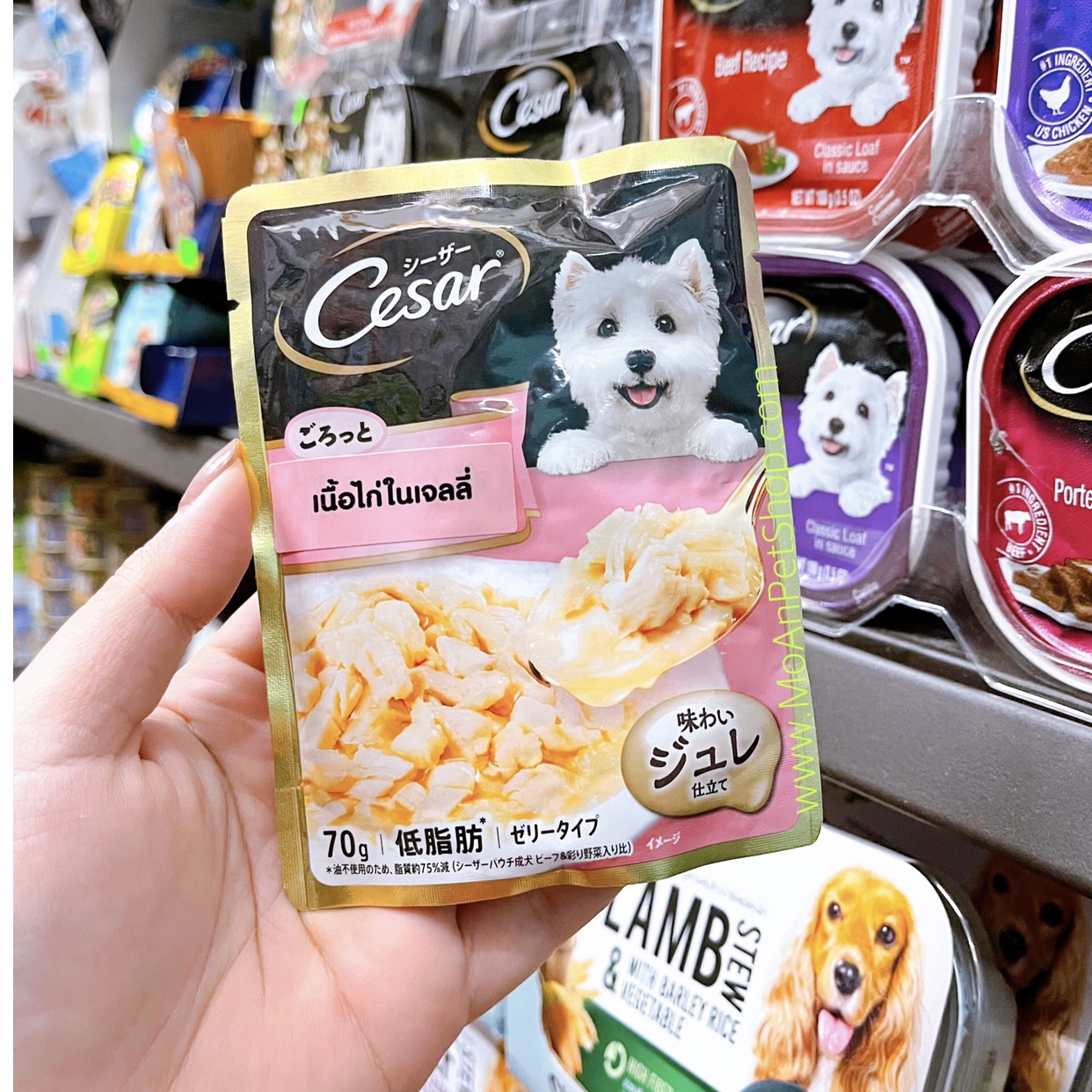 Pate Cesar Thái Lan Thịt Gà 70g MoAnPetShop.com
