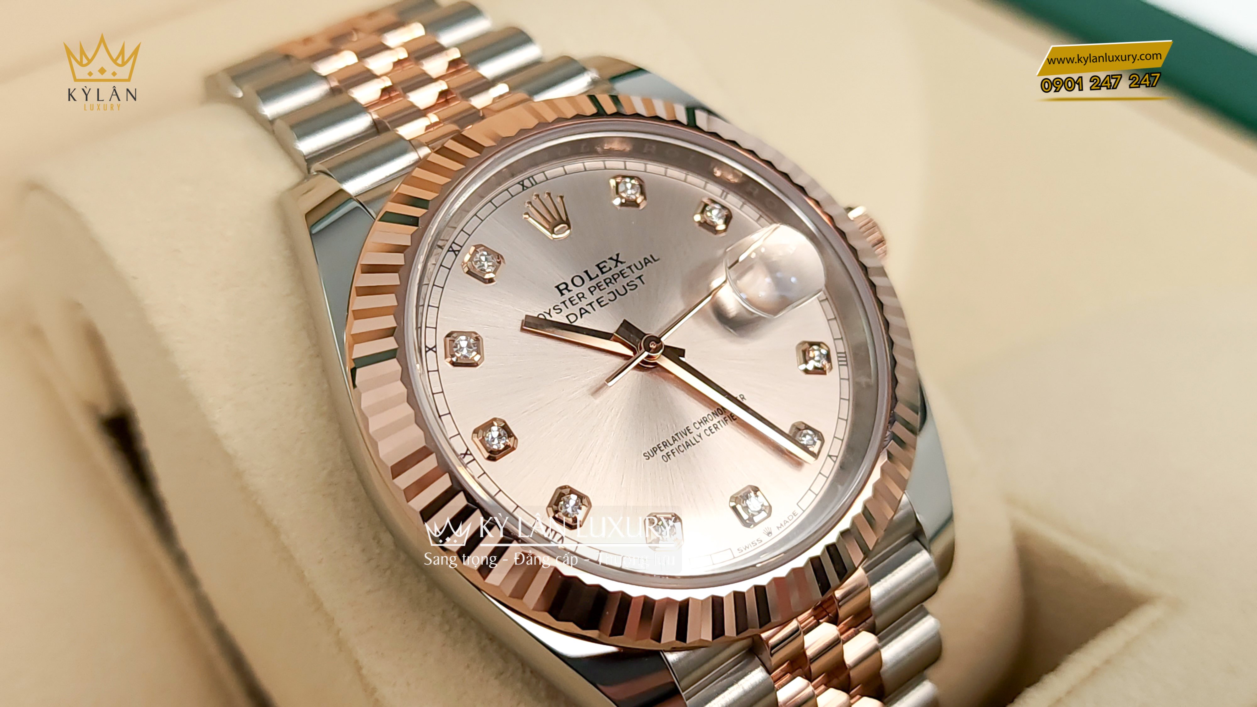 Đồng hồ Rolex Datejust 41 126331-0008 Mặt Số Sundust | Kỳ Lân