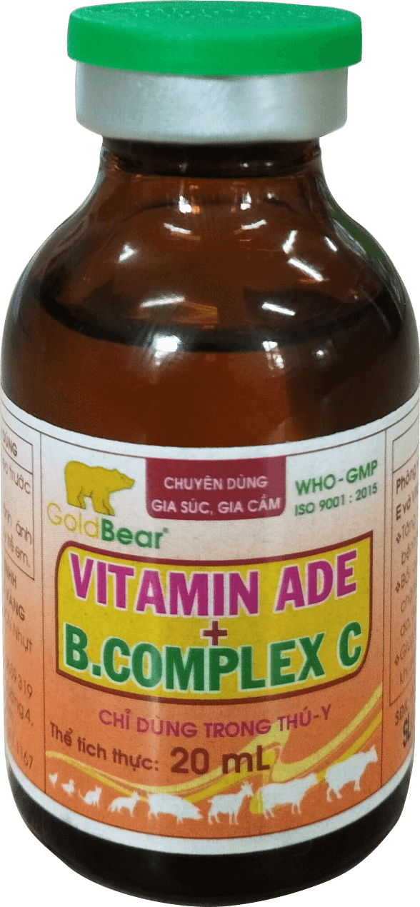 VITAMIN ADE+B.COMPLEX C (20 ML/LỌ) | Gấu Vàng