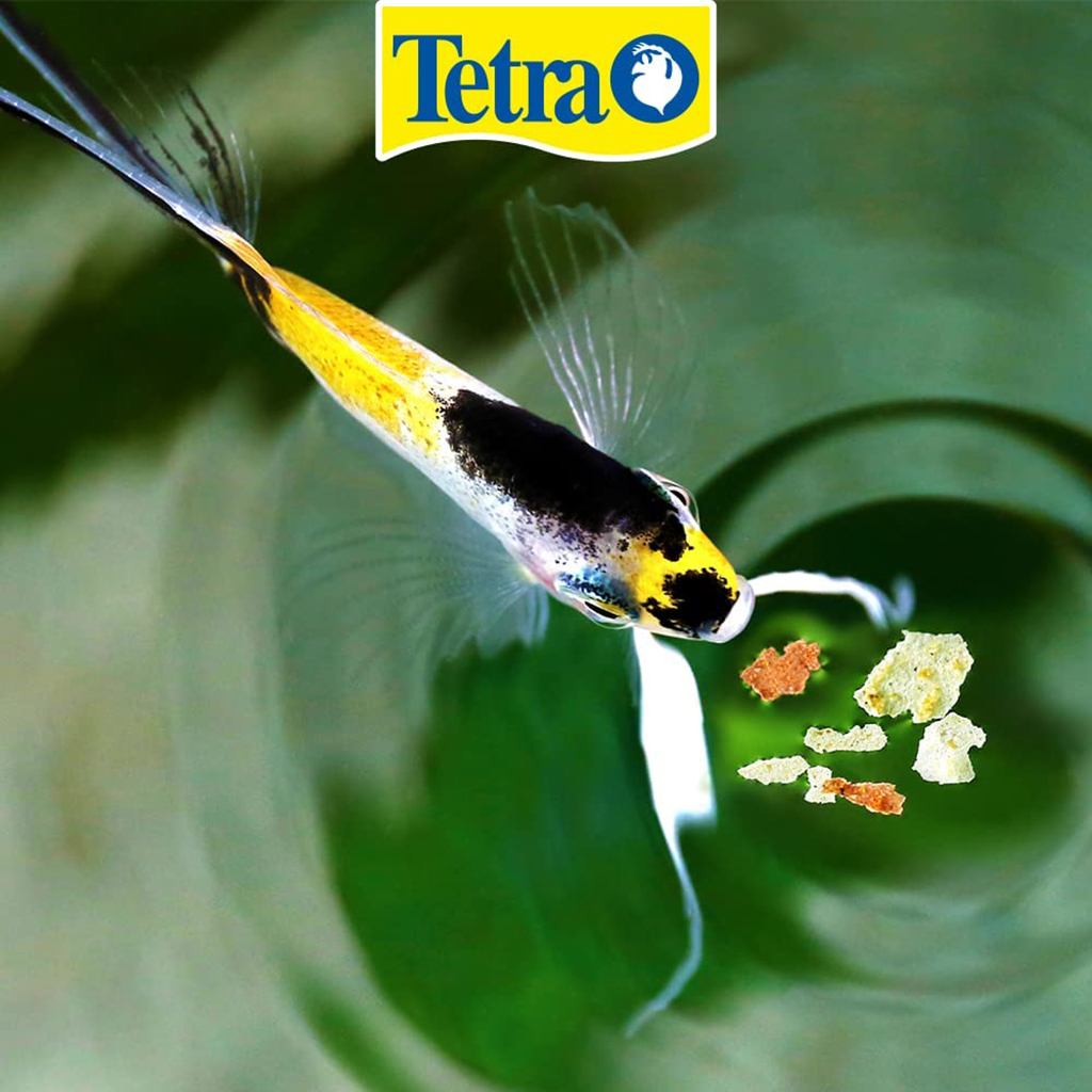 TETRA - Tetra Color Tropical Flakes | Thức ăn tăng màu cho cá cảnh ...