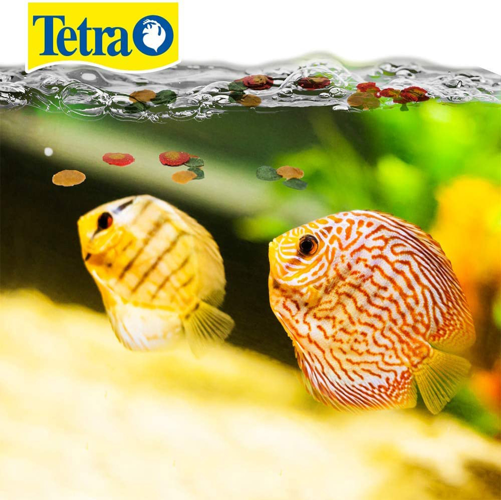 TETRA - Tetra Pro Tropical Color Crisps | Thức ăn tăng màu cho cá cảnh ...