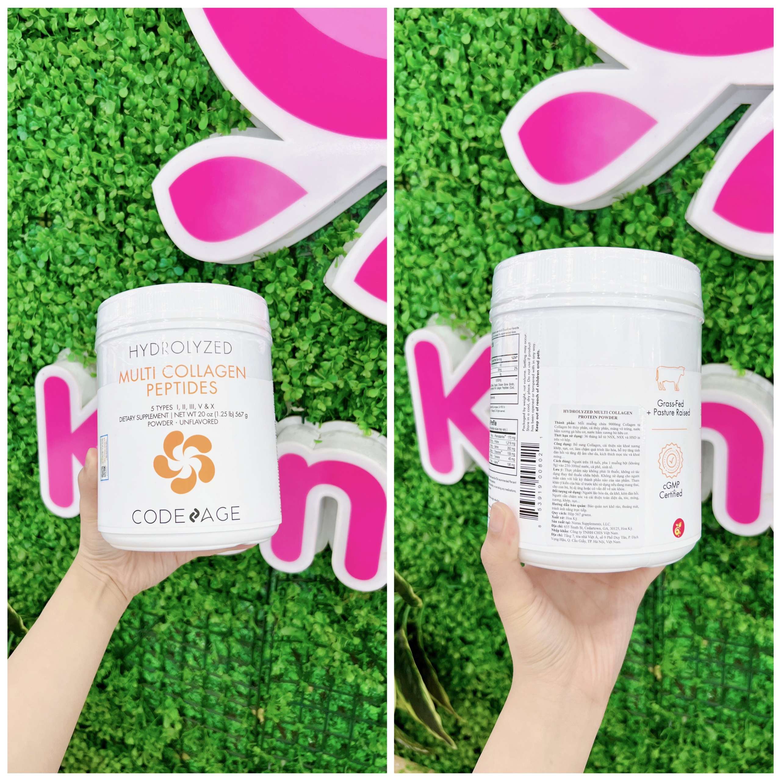 CodeAge Hydrolyzed Multi-collagen peptides ( 5 types I, II, III, V & X)