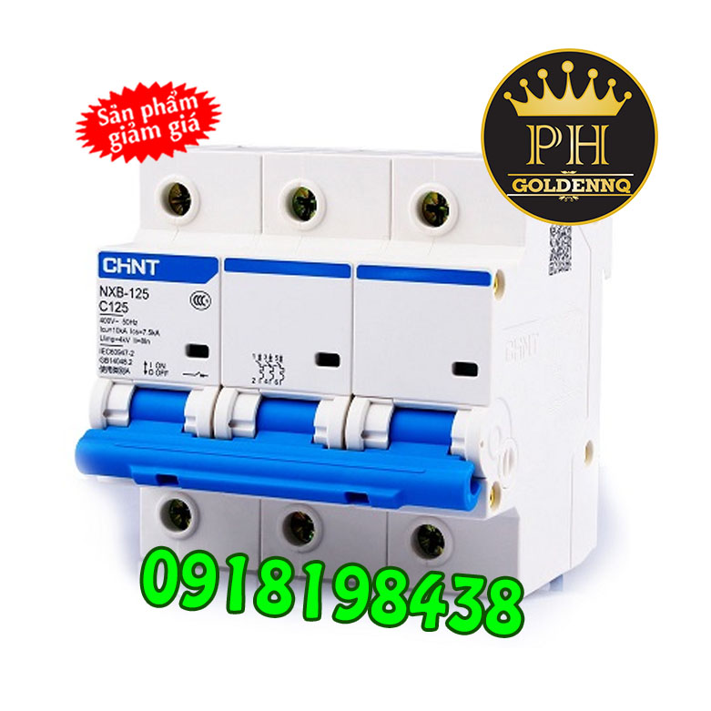 MCB Chint NXB-125 100A 10KA 3P | Công Ty TNHH Tổng Hợp Quốc Tế Golden NQ