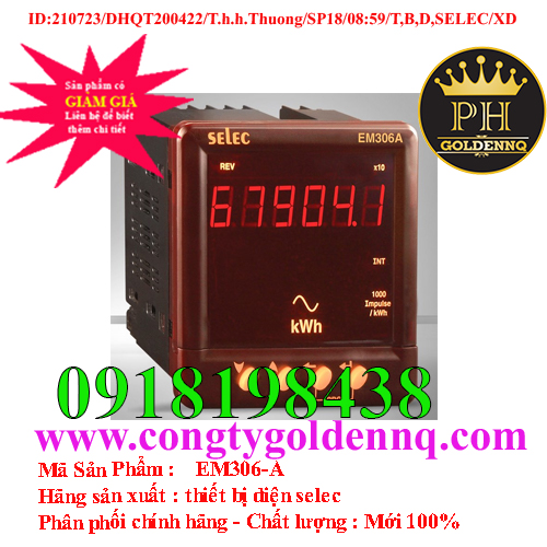 Đồng Hồ Đo Điện Năng Selec EM306-A | Công Ty TNHH Tổng Hợp Quốc Tế ...