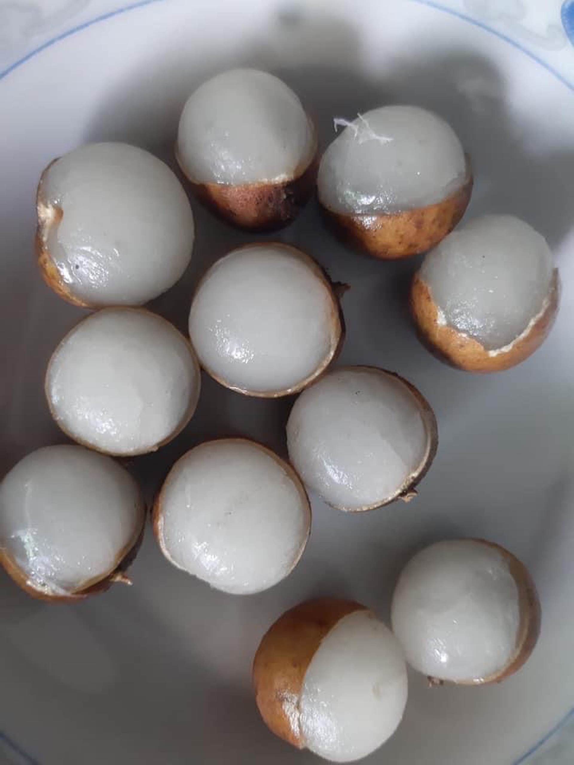 FROZEN LONGAN - QUẢ NHÃN ĐÔNG LẠNH King Agro