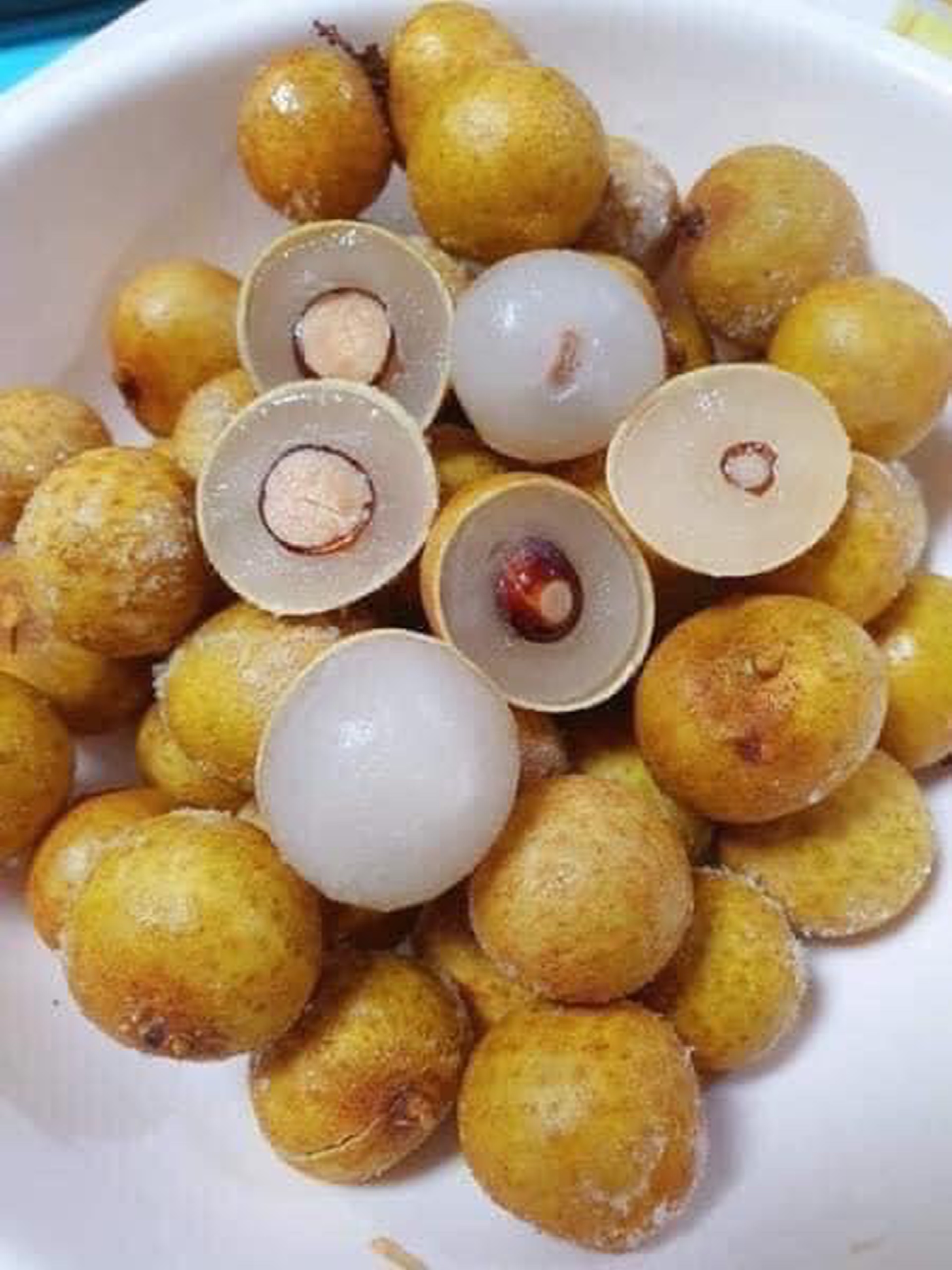 FROZEN LONGAN - QUẢ NHÃN ĐÔNG LẠNH King Agro
