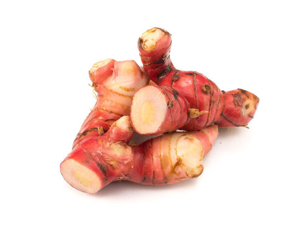 RED GALANGAL - CỦ RIỀNG ĐỎ King Agro