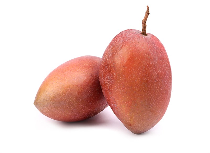 TAIWANESE MANGO (PURPLE MANGO) - XOÀI ĐỎ NGỌC VÂN King Agro