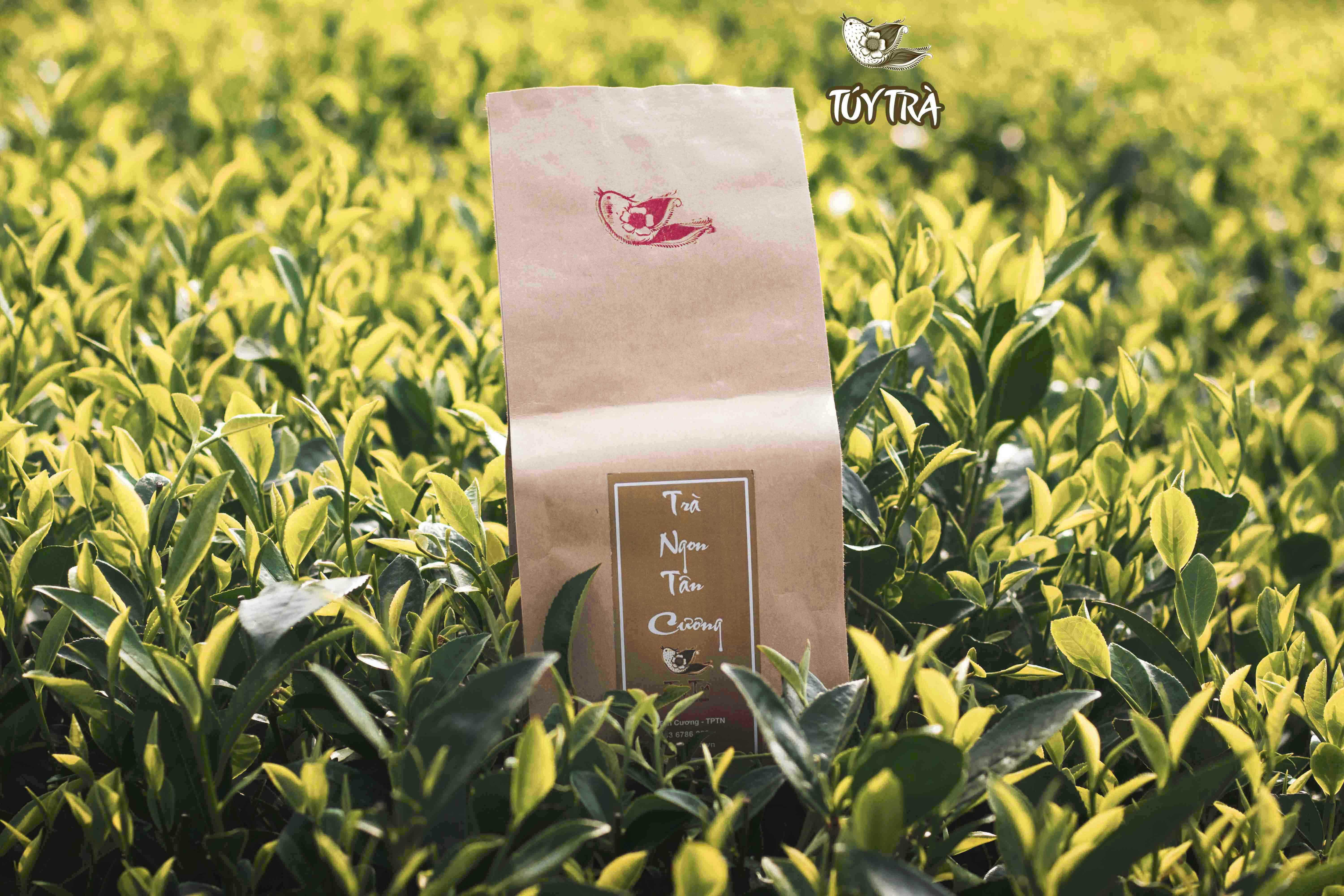 Trà Ngon Tân Cương Túy Trà