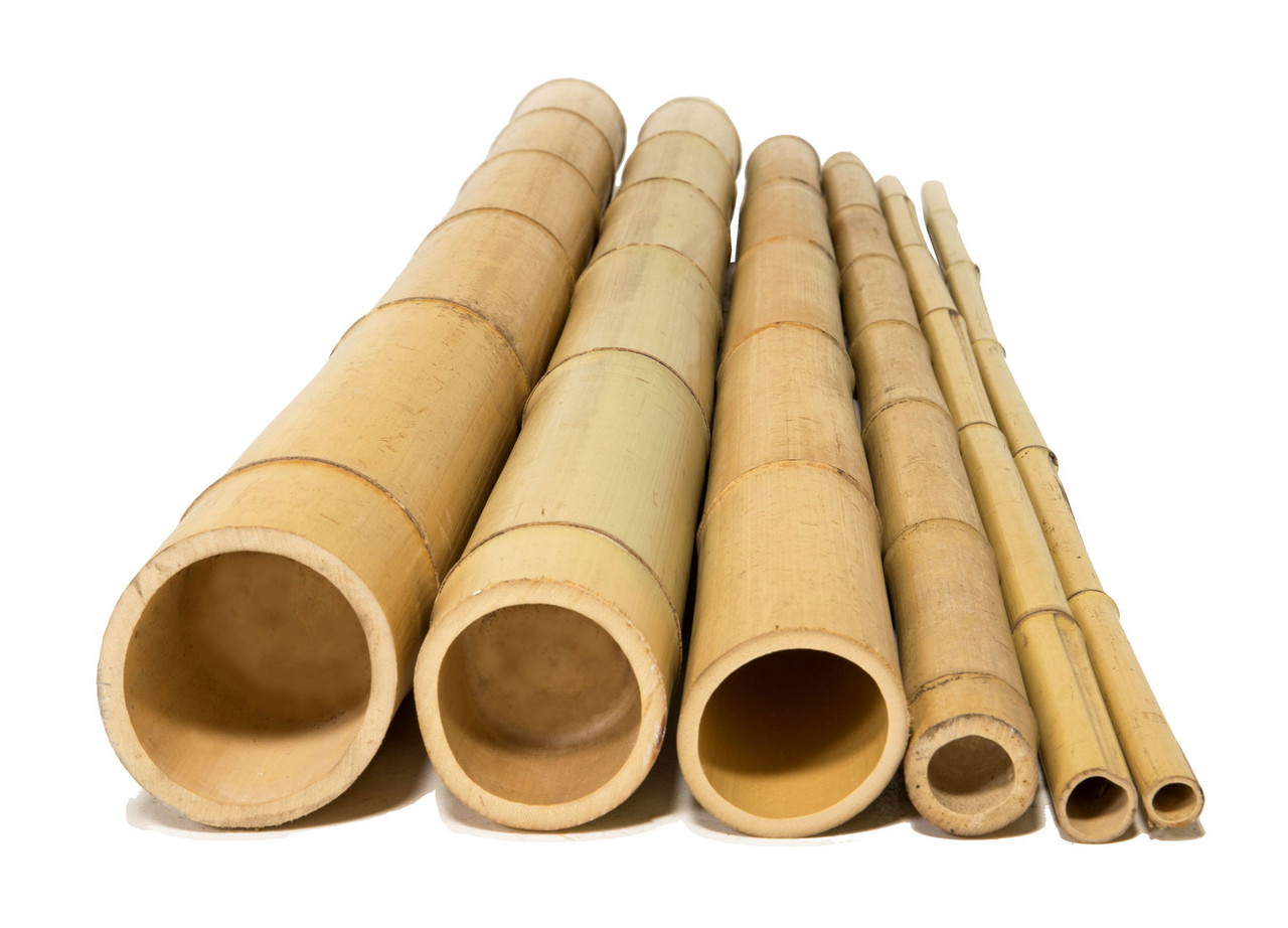Bamboo Poles
