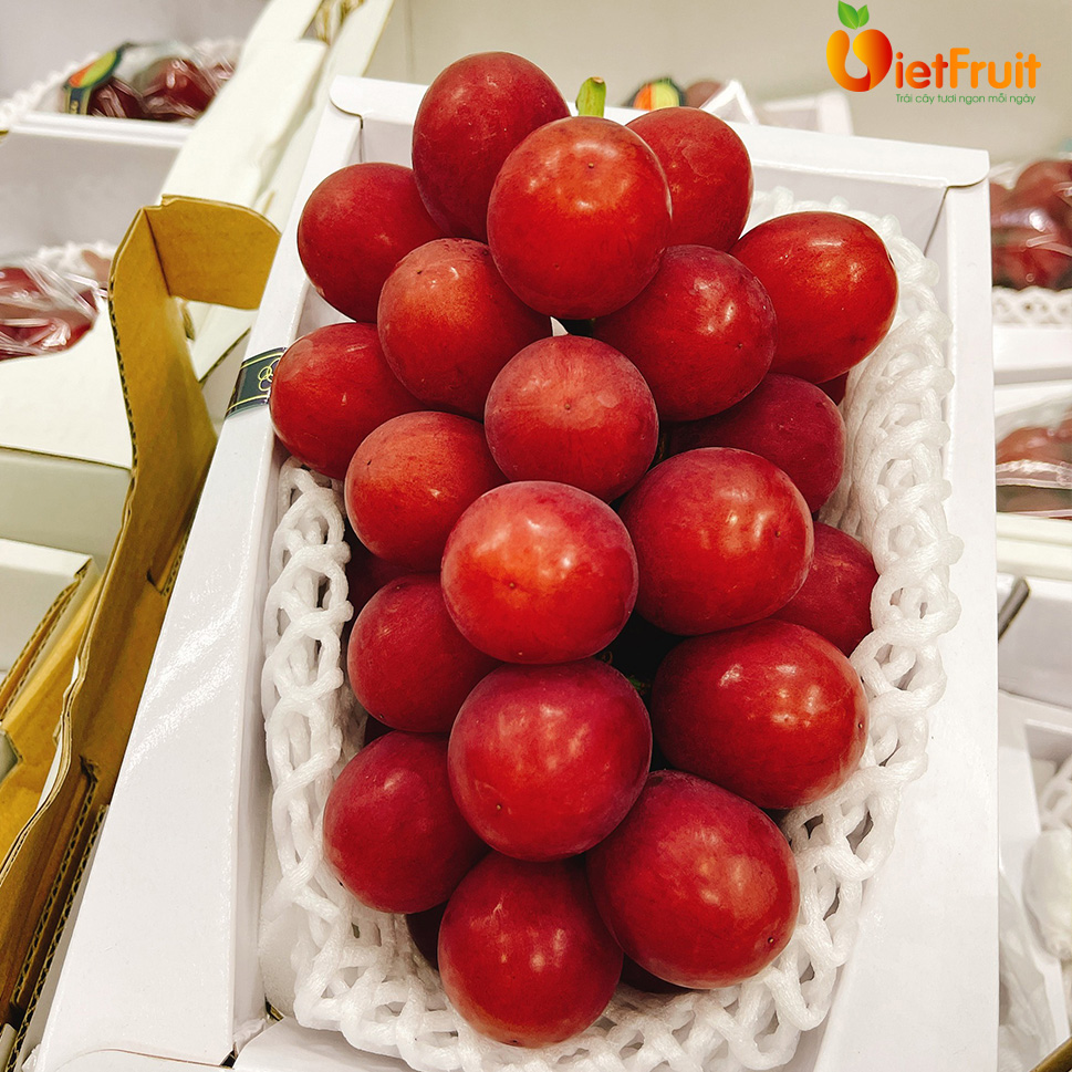 Nho Ruby Roman VietFruit