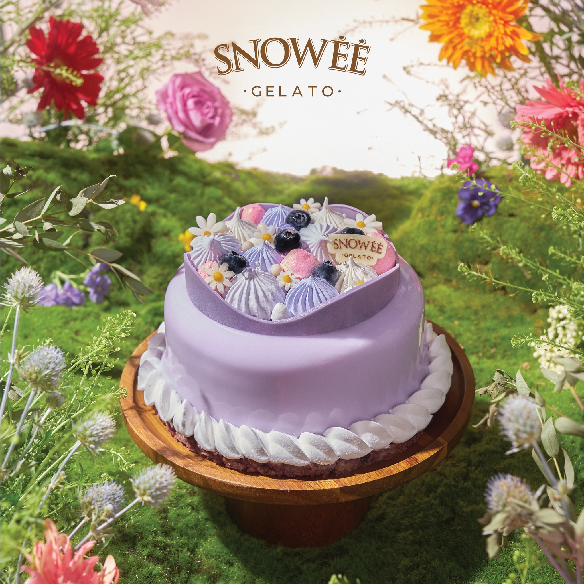 Snowee Gelato Cake Collection - A Symphony of Flavors and Artistry