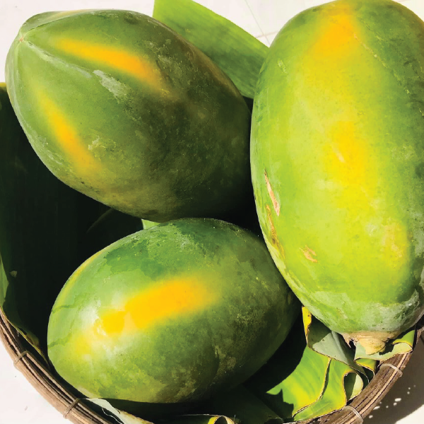 Đu Đủ Đỏ Abavina | PHUC FRESH