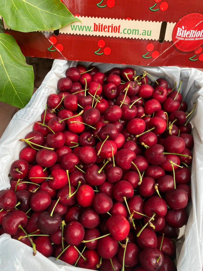 Cherry Úc BiteRiot Lapin s28-30 | PHUC FRESH