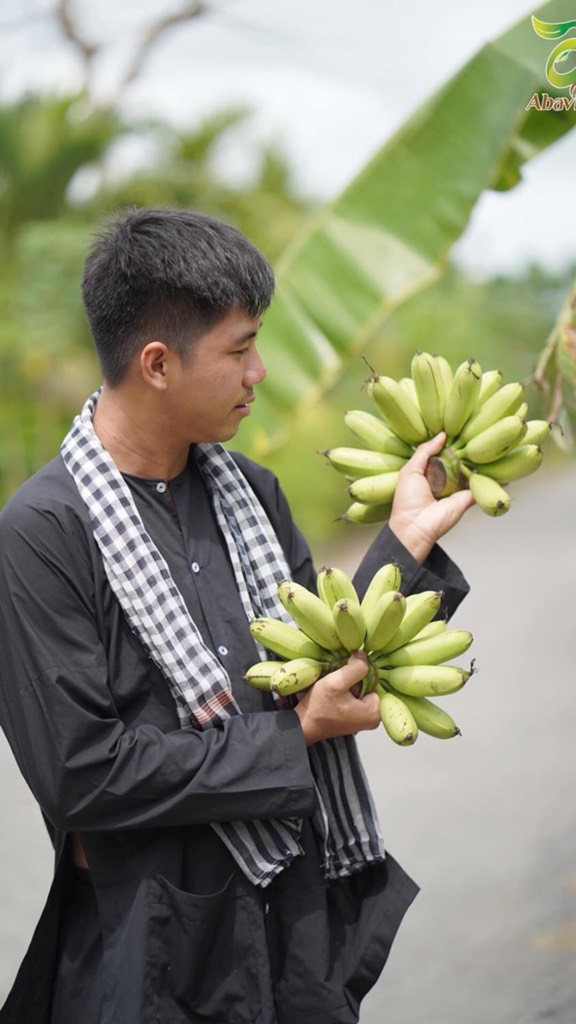 Chuối Cau Abavina | PHUC FRESH