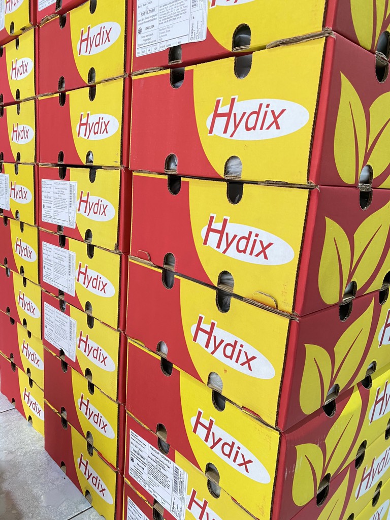 Nho Xanh sweet global Hydix Nam Phi (air) | PHUC FRESH