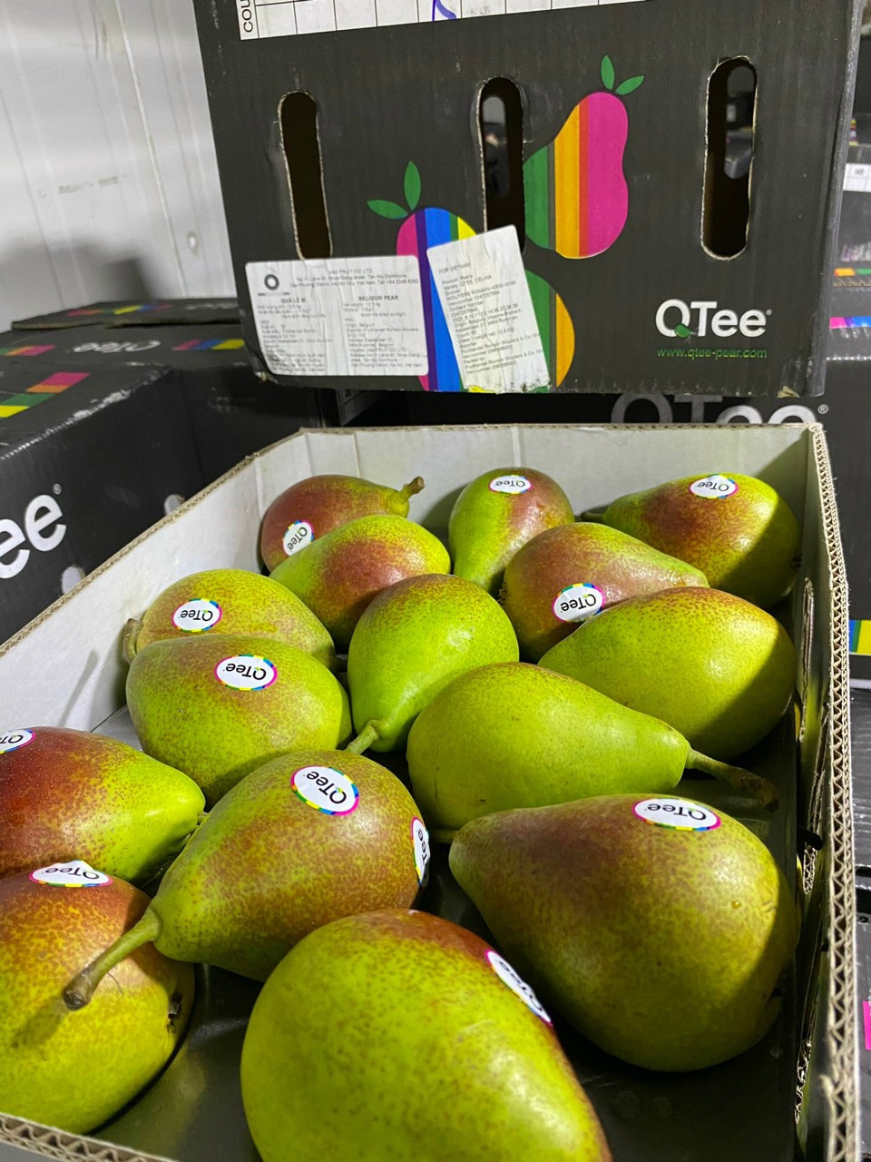 Lê Xanh QTee Bỉ | PHUC FRESH