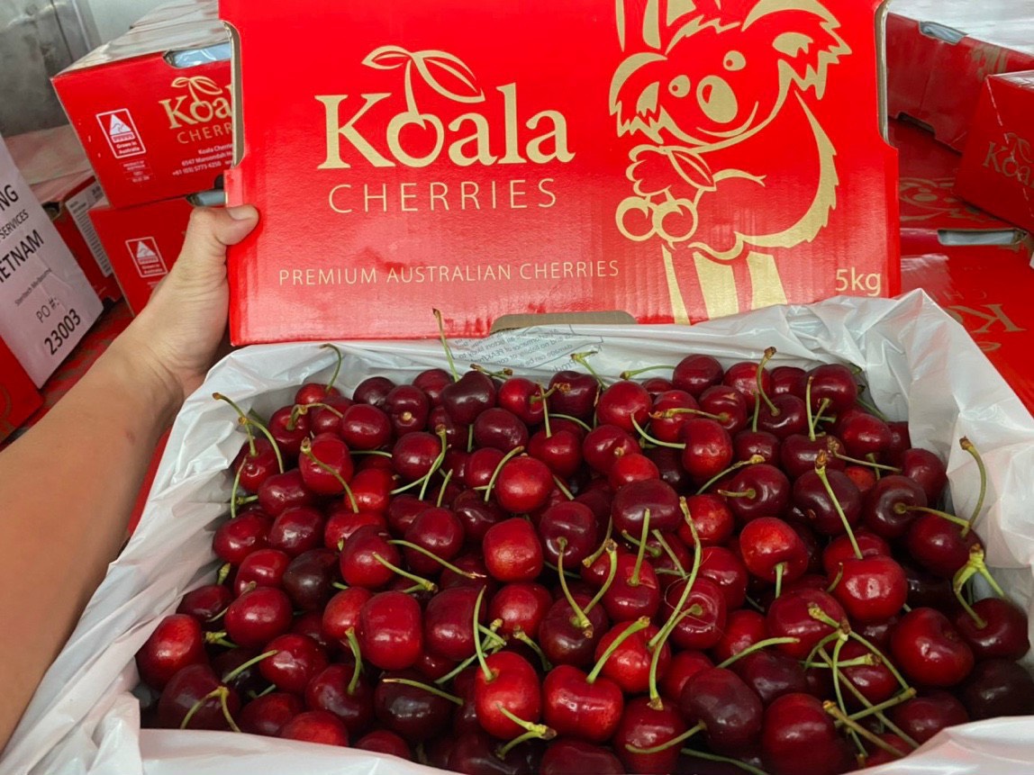 Cherry Úc Koala-Chelan | PHUC FRESH