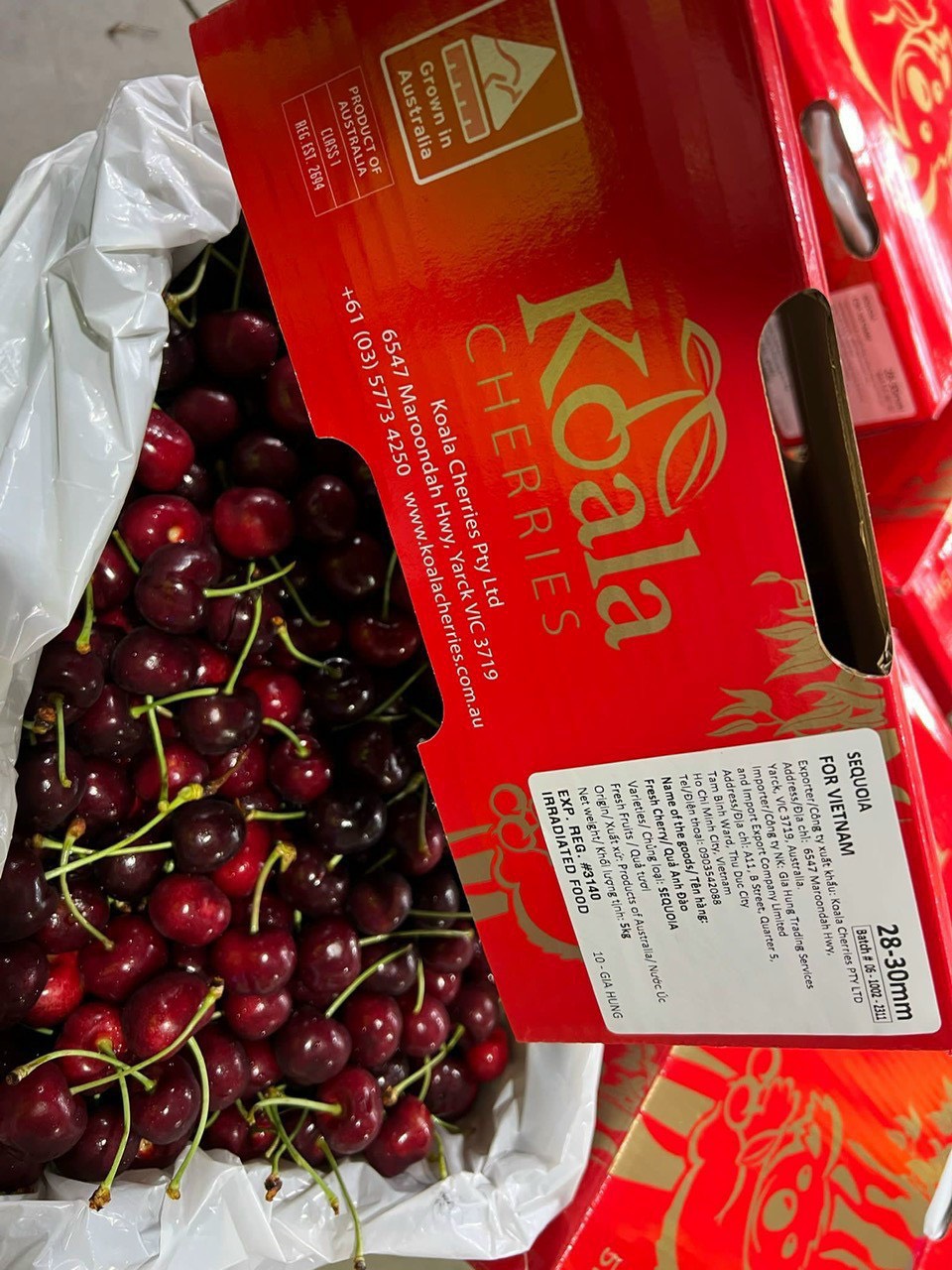 Cherry Úc Koala-Chelan | PHUC FRESH