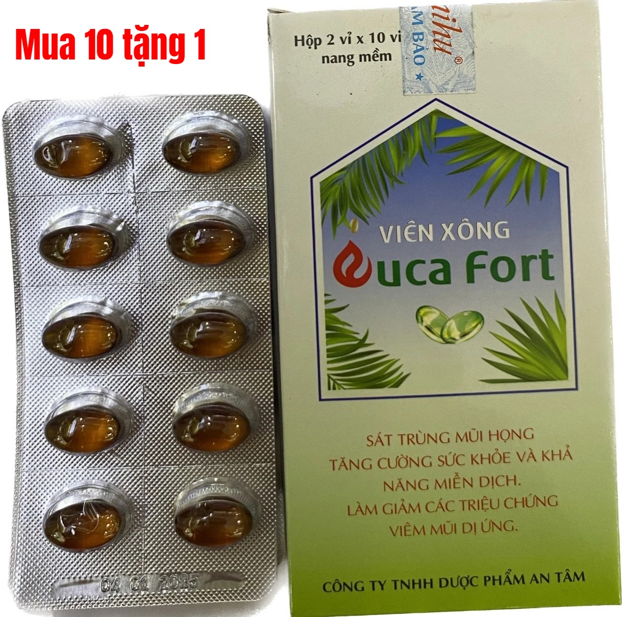 Viên nhai hà thủ ô ( H/100 viên) tritinpharma