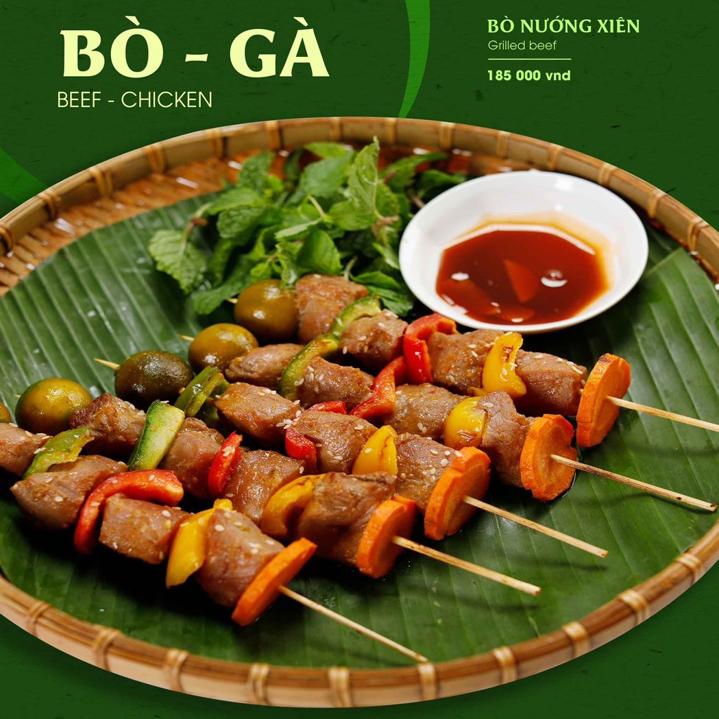 Bò gà