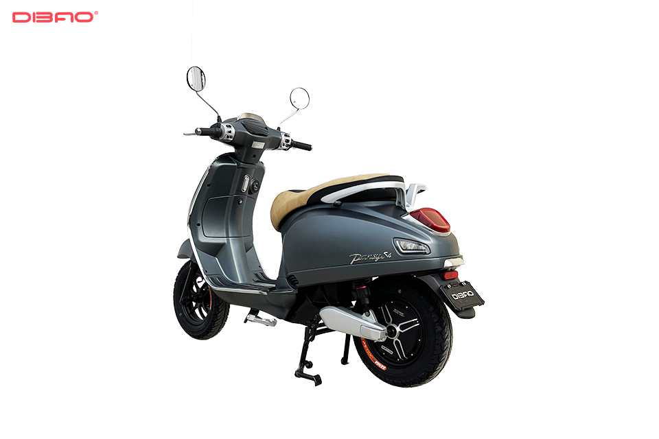 XE MÁY ĐIỆN DIBAO PANSY S4